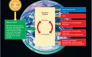 Economic Systems Related to the Biosphere by Guinness - Curipod